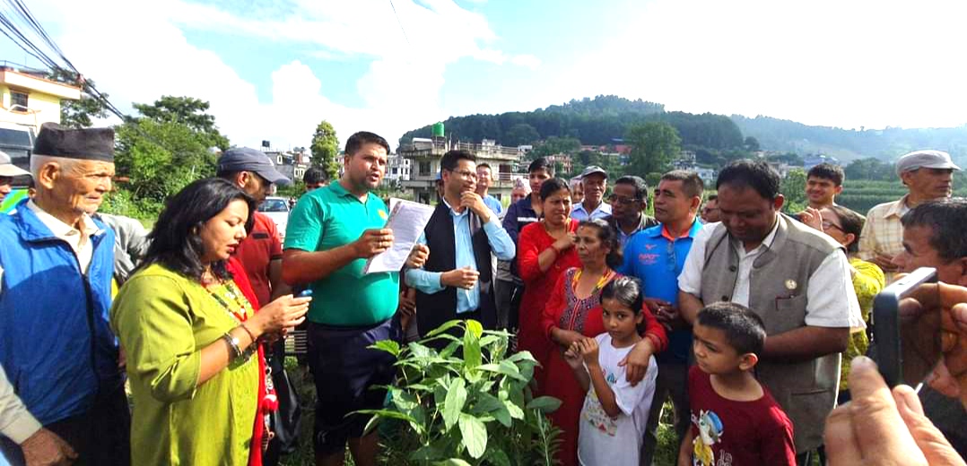 चाँगुनारायण सिटी एभोकाडो सिटी अभियान अन्तर्गत मंगलवार बिहान ताथलीमा विरुवा वितरण हुने ...